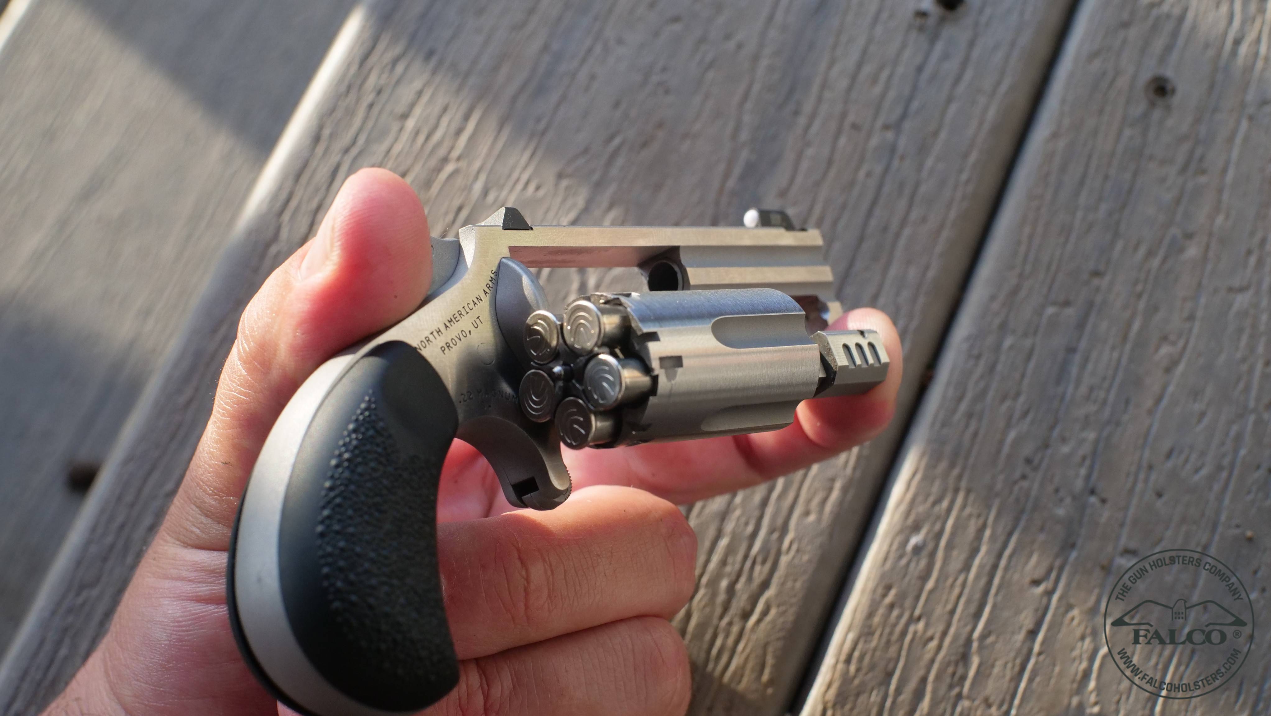 Before you Buy - North American Arms Sentinel 22WMR | Falco