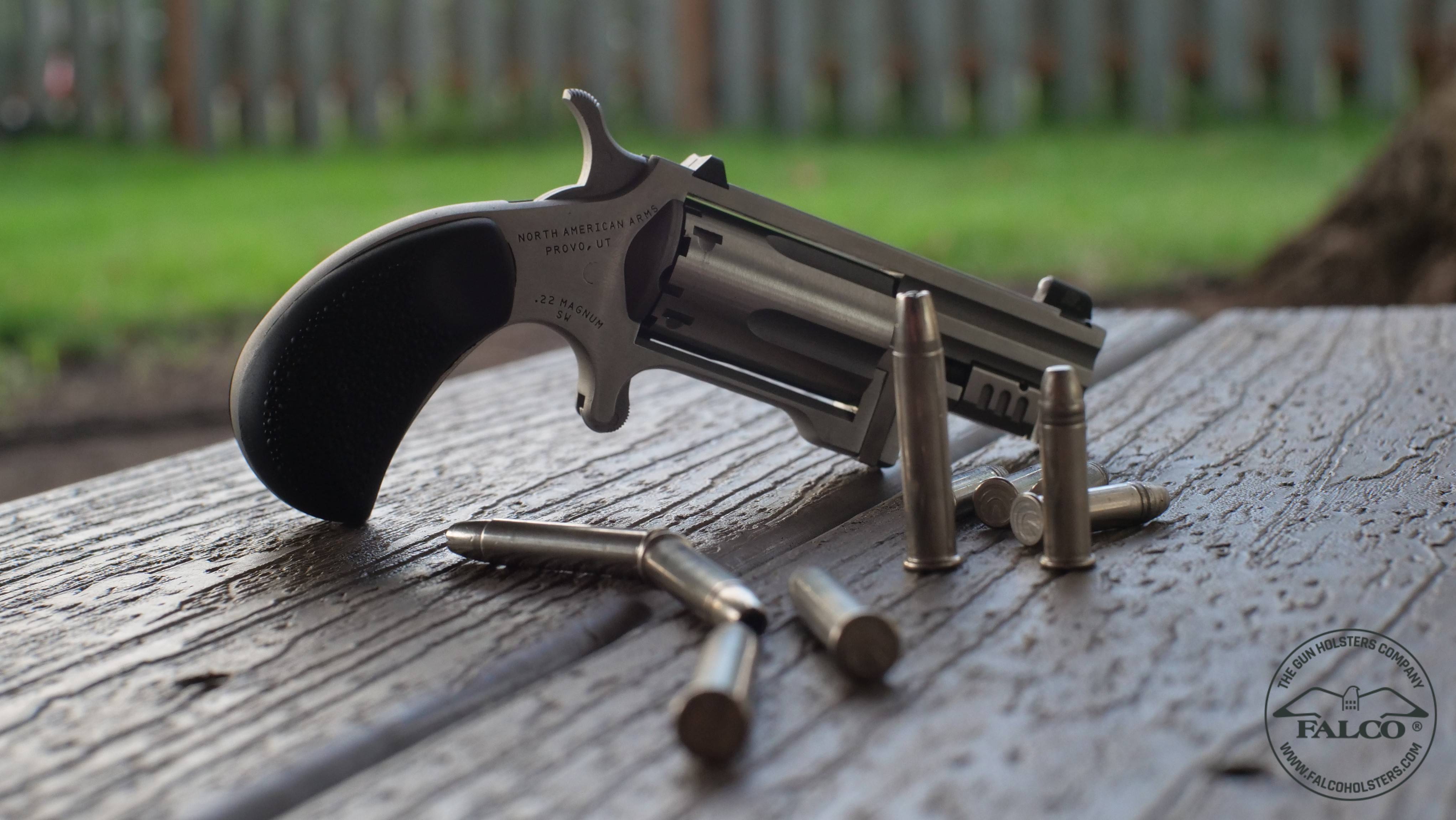 Before you Buy - North American Arms Sentinel 22WMR | Falco